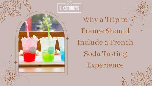 11 Best French Sodas of 2023 [Fizz and Flavor Galore]