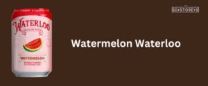 13 Best Waterloo Sparkling Water Flavors Ranked (2025) Finest
