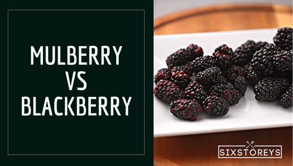 Mulberry Vs Blackberry: Which is Worth the Hype?