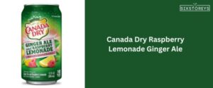 15 Best Canada Dry Flavors of 2025 [Your Thirst's New BFFs]
