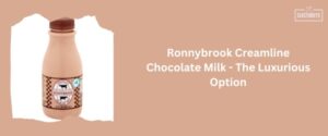 21 Best Chocolate Milk Brands Ranked (2025) Creamy Delights