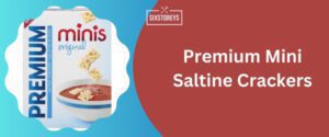 22 Best Saltine Crackers Ranked 2025 [Total Game-Changer]