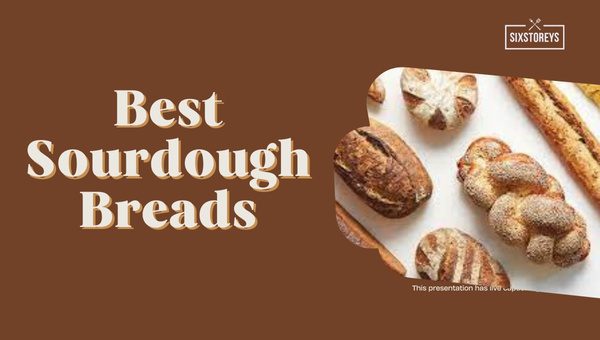 17 Best Sourdough Bread Brands Ranked 2025 [Bread Bonanza]