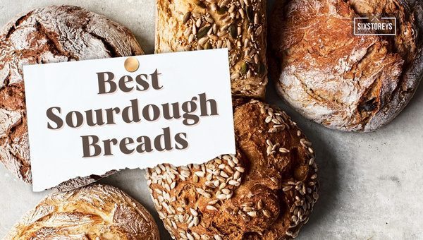 17 Best Sourdough Bread Brands Ranked 2025 [Bread Bonanza]