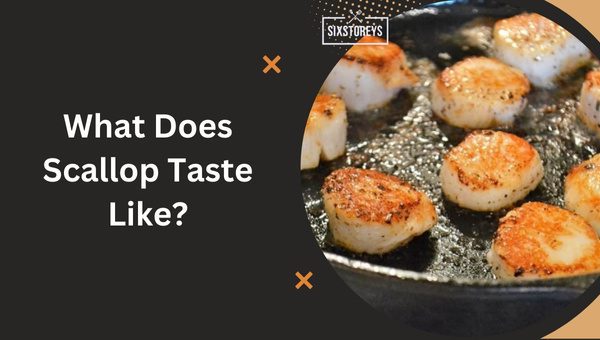 What Does Scallop Taste Like? Seafood Lovers Must Know